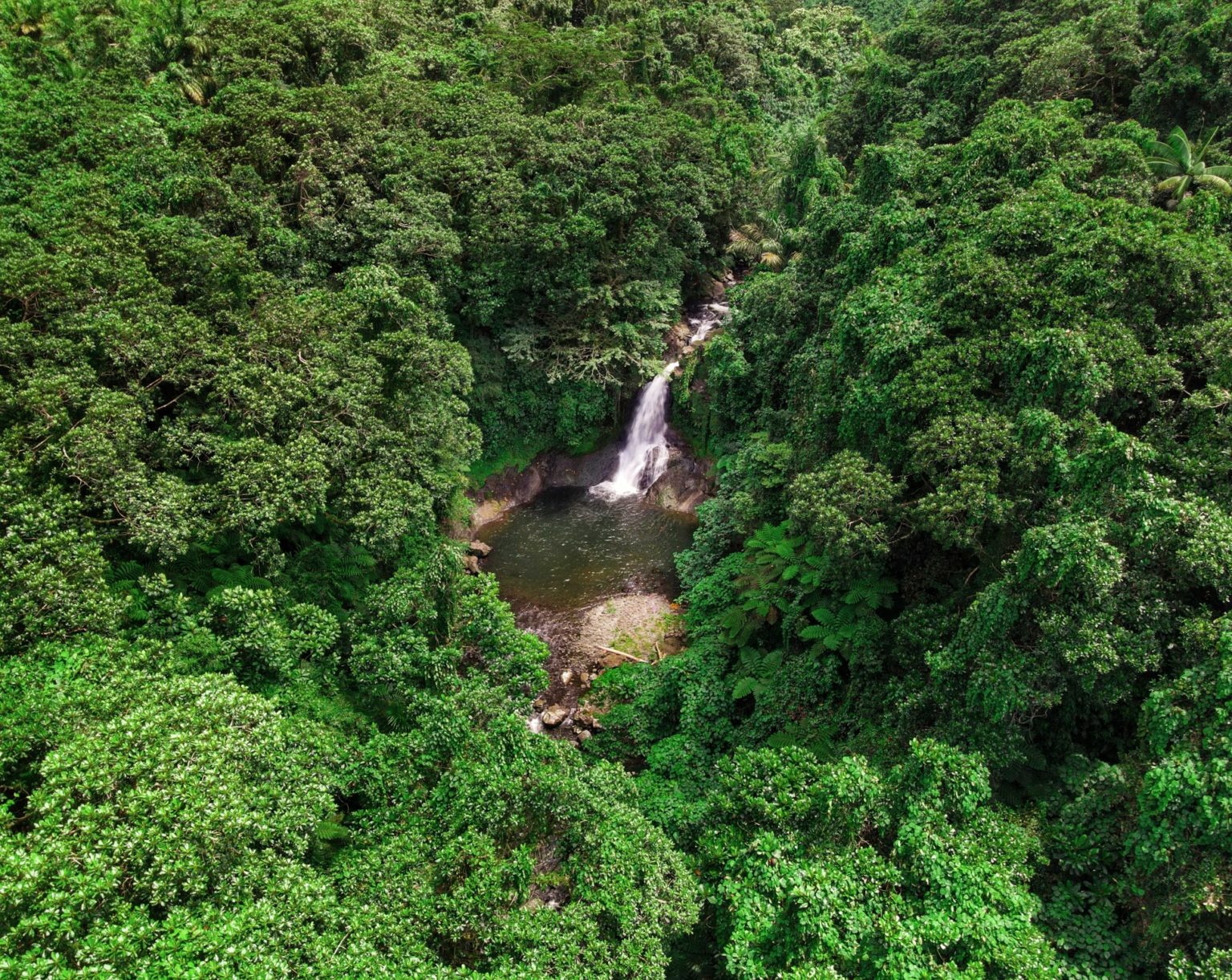 madolenihmw – Pohnpei Eco-Adventure Guide