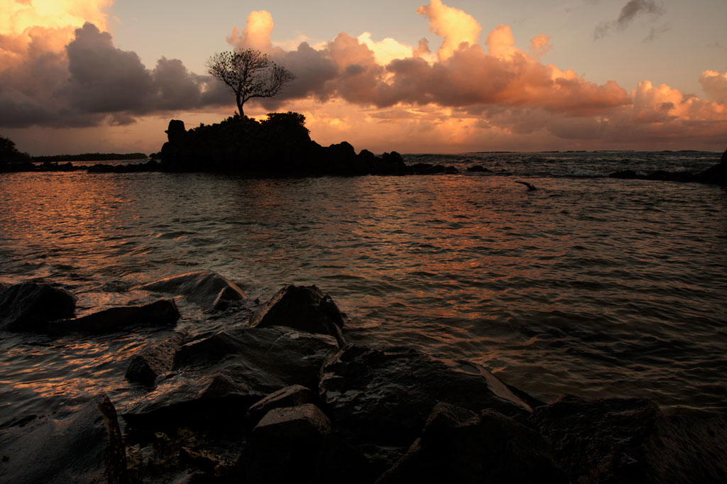 Nan Madol Ruins | Pohnpei Eco-Adventure Guide