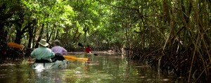 Nahnningi Island (Para Nuii Island Resort) – Pohnpei Eco-Adventure Guide